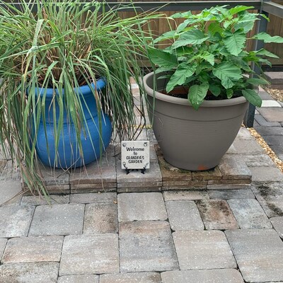 Toad Abode Funny Garden Sign Toad House Garden Sign Cute Gift for ...