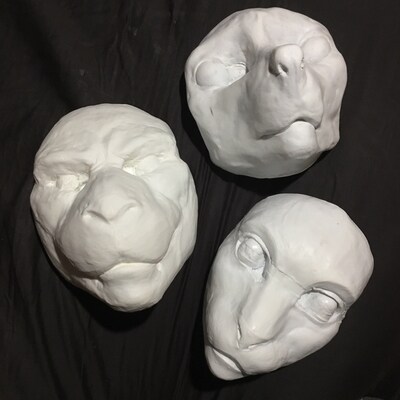 Mummified Faerie Specimen Fairy Skeleton Dead Fairy Curio Cabinet ...