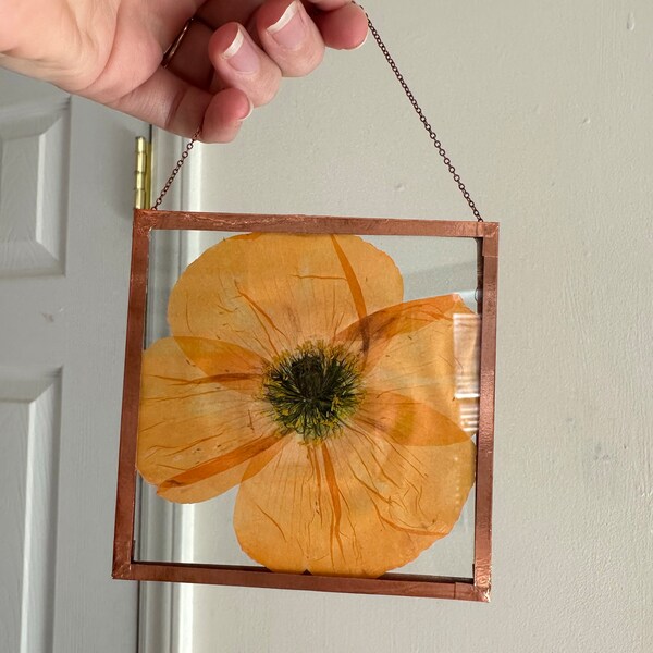 Pressed Poppy Flower Frame // Botanical Art // Copper // Created by ...