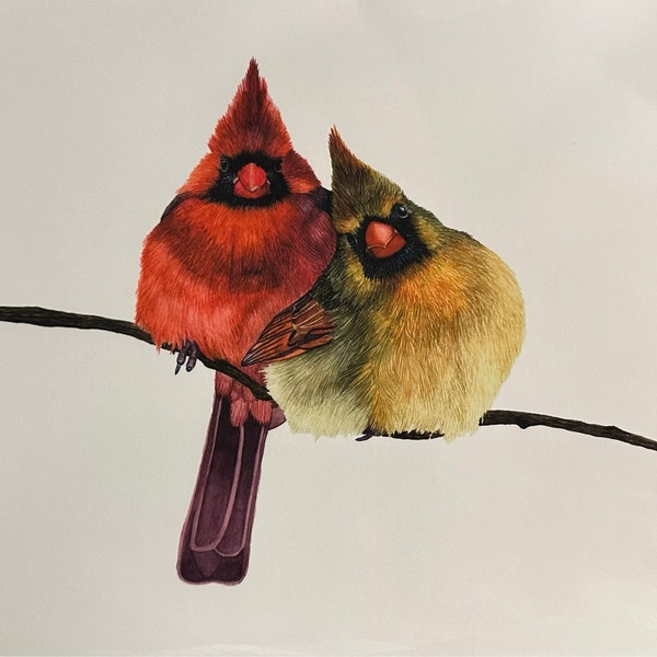 Cardinals Watercolor Art Print Two Cardinals on Branch Cardinal ...