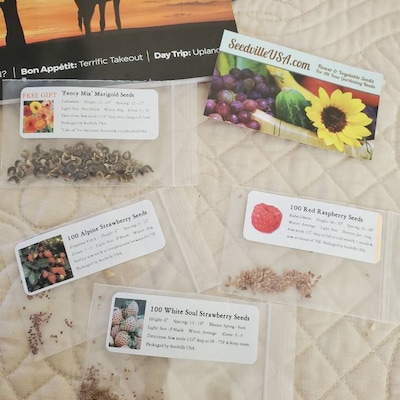 100 RED RASPBERRY Rubus Idaeus Fruit Bush Vine Seeds - Etsy