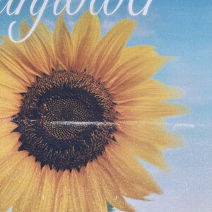 Digital Plants Care Journal / Houseplants Care Planner Journal, PDF ...