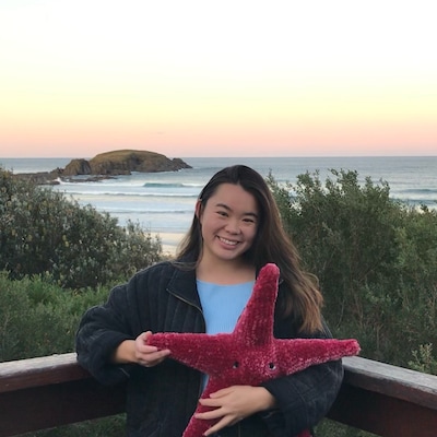 No Sew Starfish Crochet Pattern - Etsy