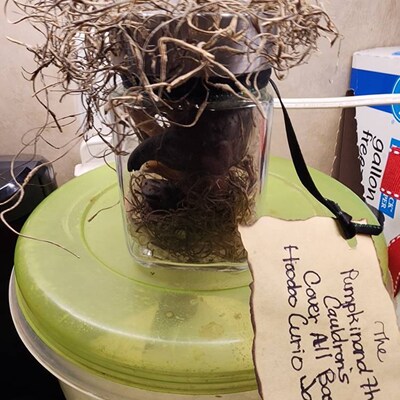 Baphomet Incense Holder With Bewitching Incense Sticks and Varied Cones ...