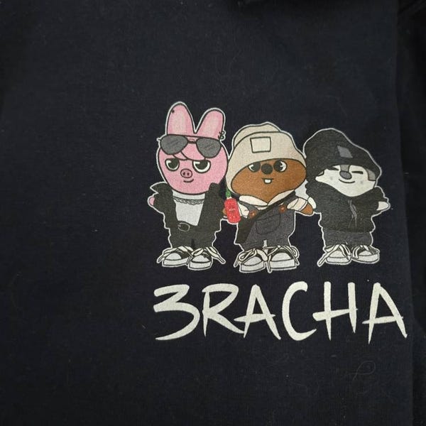 The Rose Tshirt, the Rose Kpop, Kpop Tshirt, Kpop Merch, the Rose ...