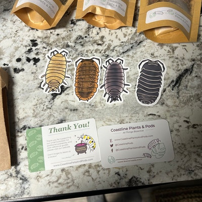 Iso-stirfry, Isopod Food, Isopod Treat, Premium Bug Food, Insect Food ...