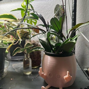 Middle Finger Happy Planter in ALL Colors Kawaii Planter - Etsy