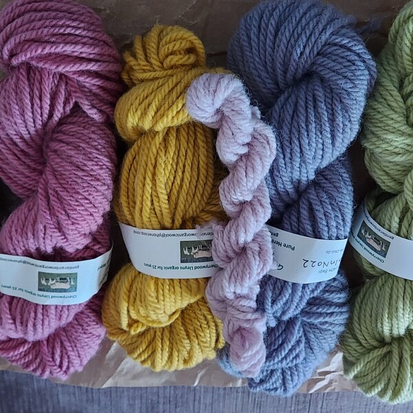 Natural Undyed Organic Wool From Our Flock of Lleyn Sheep to Use for ...