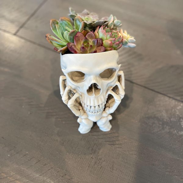 Happy Skull Horror Planter - Unique Plant Pot, Witchy/goth Decor ...