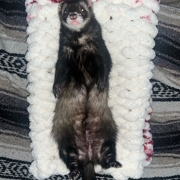 JUMBO TUNNEL, Hand Knitted Chunky Yarn Ferret Tunnel: Cozy Pet Play - Etsy