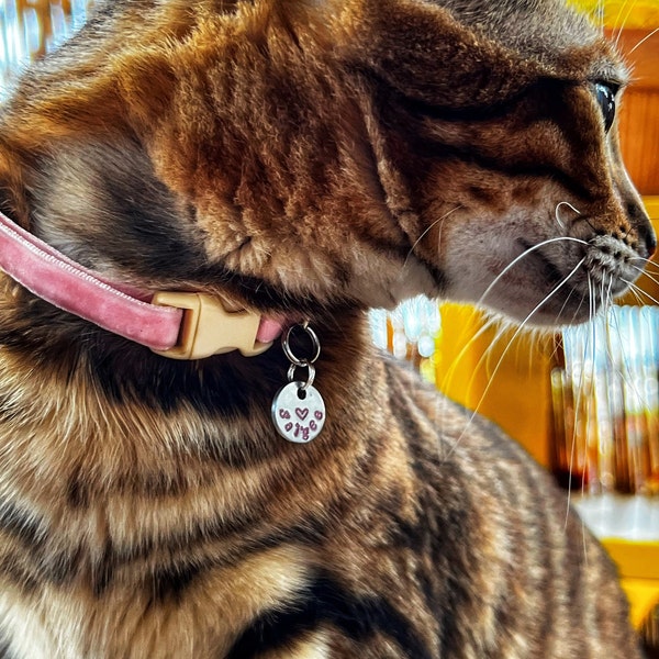 Cute Tiny Cat Collar,soft and Light Weight Velvet Cat Collar,kitten ...