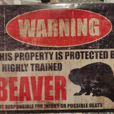 Funny Beaver Warning Sign, Beaver Decor, Campsite Sign Available in ...