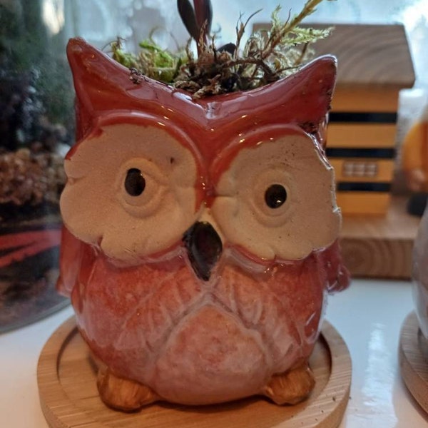 Human Face Abstract Indoor Plant Pots / White Vase Pot Planters / Head ...