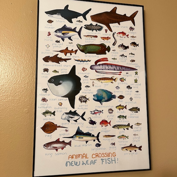 All the Fish in Animal Crossing Print - Etsy