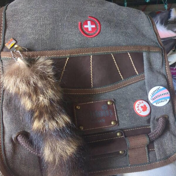 3"-4" Dinosaur Poop Petrified Coprolite Natural Fossil Rock Stone ...