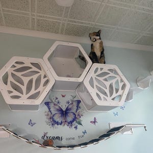 Cat Wall Mount Furniture, Cat Wall Bed, Wooden Cat Hexagon Shelves ...