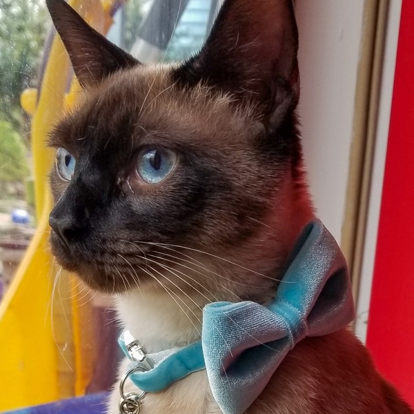 Cat Collar - "velvet - Frosty Blue" - Light Blue Cat Collar / Winter ...