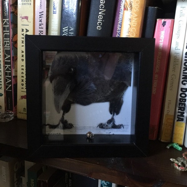QUOTH THE RAVEN Nevermore - Signed Fine Art Photograph by June Hunter ...