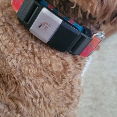 Fi Series 2 Collar Adapter - Etsy