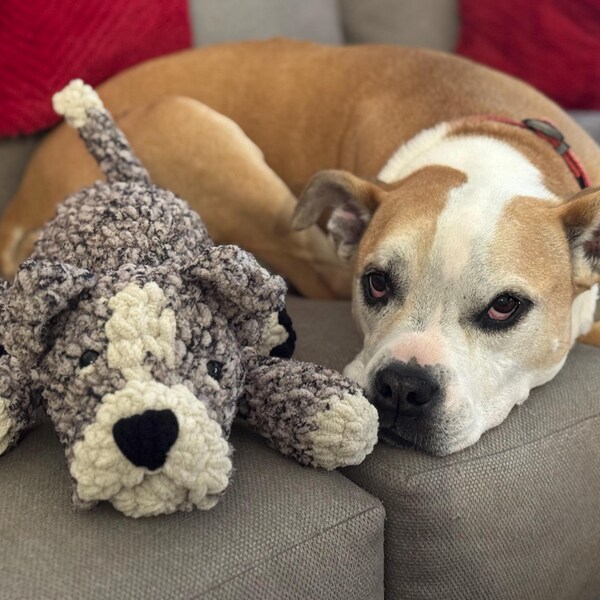 Pitbull Crochet Pattern - Amigurumi - Etsy Canada