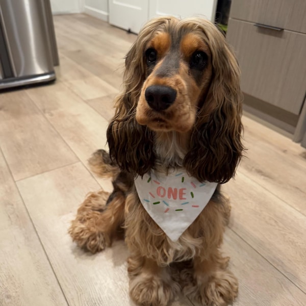 Personalized Dog Bandana Birthday Girl Bandanna for 1st Birthday ...