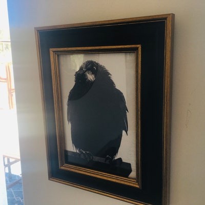 Raven Peace A Single Raven in the Top of a Tree Signed Fine - Etsy