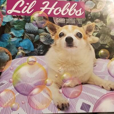 Lil Hobbs Plushie Chihuahua Squishy Stuffed Animal Toy - Etsy