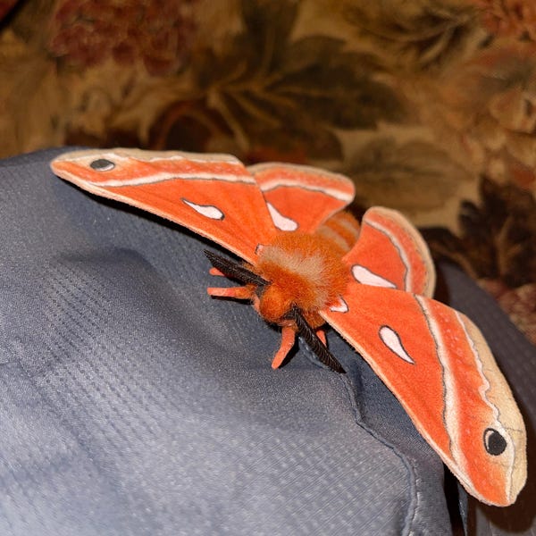 Hercules Moth , Needle Felted, Moth Figurine, Decoration, Handmade ...