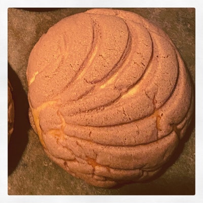 Classic Concha Mold Sweet Mexican Bread Pan Dulce Cookie Cutter Baking ...