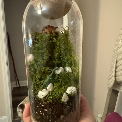 Complete Closed Terrarium Kit With Live Moss Plants and Terrarium ...
