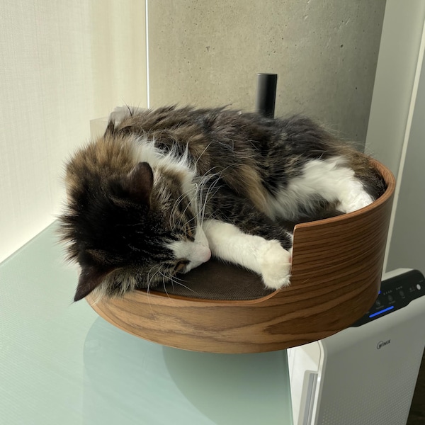 Desk Nest Cat Bed - Etsy