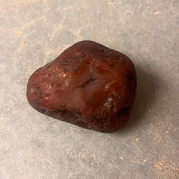 10lbs Assorted Bulk PNW River Rocks - Gardening, Landscaping, Decor - Etsy