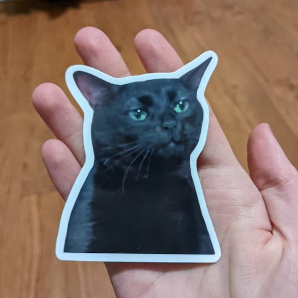 Dissociating Sticker, Zoning Out Black Cat Meme, Dissociative Sticker ...