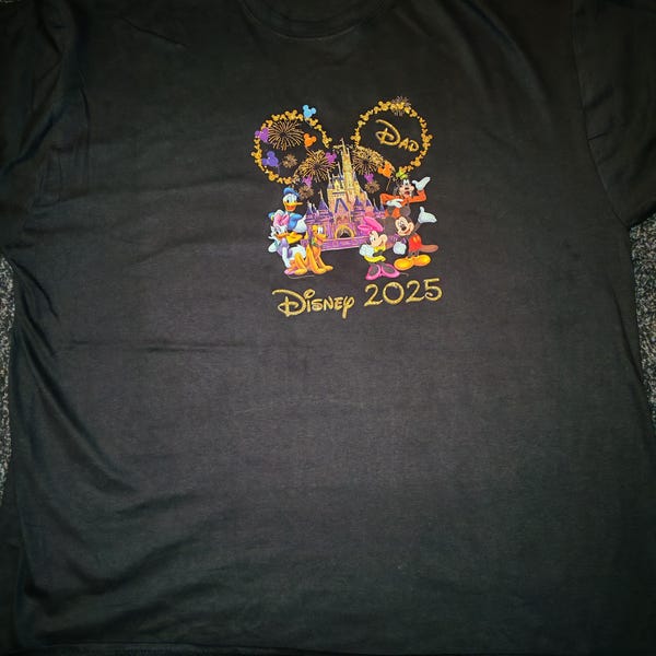 Personalized Disneyland 2026 Family Trip Shirt, Disneyworld Tee - Etsy UK