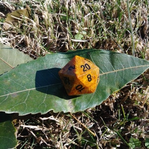 Coral Fossil Gemstone Polyhedral Dice Set: Hand Carved With Quality ...