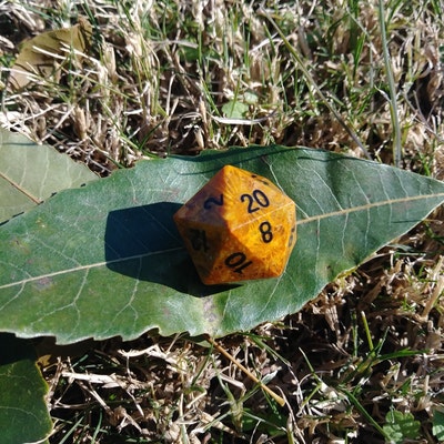 Coral Fossil Gemstone Polyhedral Dice Set: Hand Carved With Quality ...