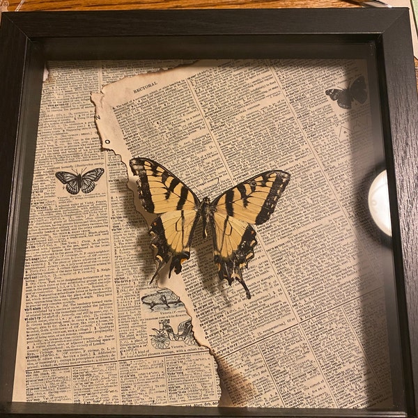 Vintage Paper German Germany Deutschland Theme Pages From Old Books ...