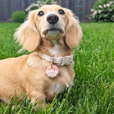 Olive Green Resin Pet ID Tag Resin, Olive Green, Dog Tag - Etsy