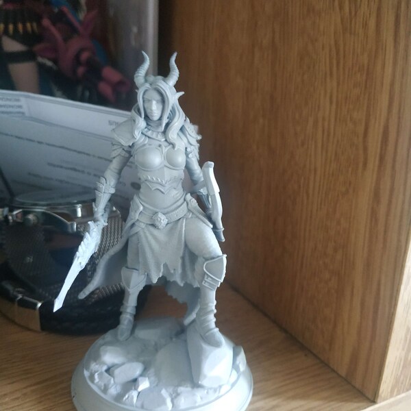 Elkava Tiefling Rogue Ranger DMS | Miniature Dungeons and Dragons Dnd ...