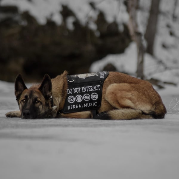 Vest adjustable Size, in Training Do Not Approach, Light Weight Sd ...