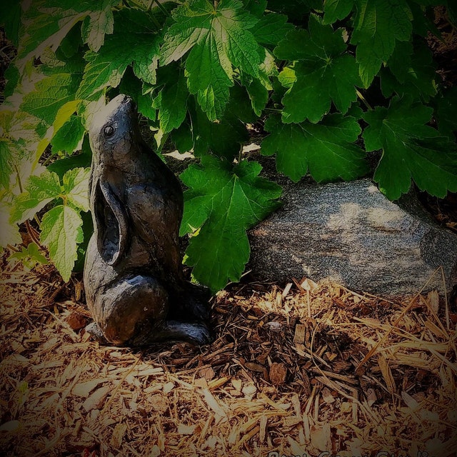 PocchiBorroDesigns (by Lesa Vaughan) - Etsy UK