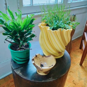 Planter Pot With Drainage Pear Green Fractal Design for Small - Etsy