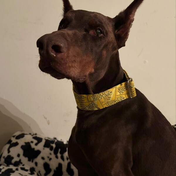 Maroon Bold Flowers Dog Collar - Available In: 1, 1.5, or 2 Inch ...