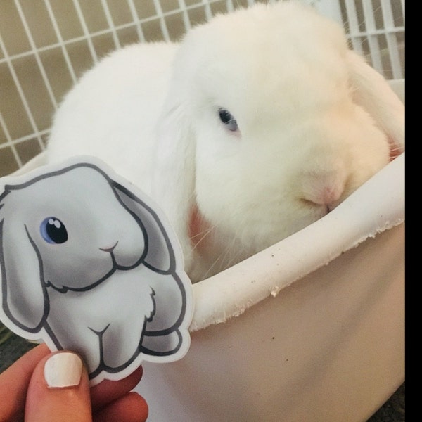 Blue-eyed White Lop Bunny Sticker; Printed Chibi BEW Rabbit Vinyl ...
