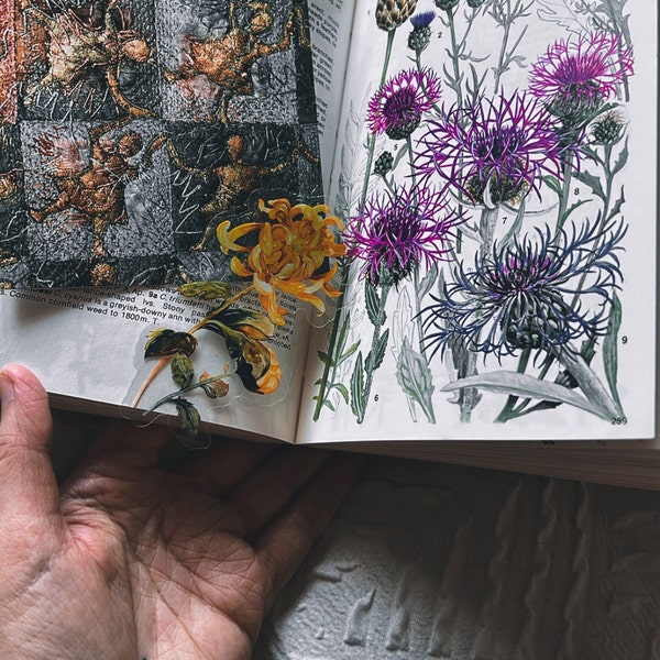 Vintage Book of Common Beasts. Super Cute Vintage Animal Book. Perfect ...