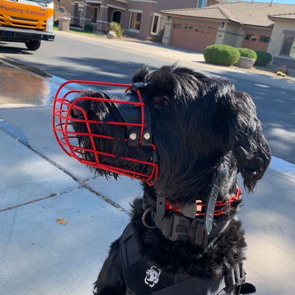 Custom Powder Coated Metal Wire Basket Dog Muzzle - Etsy