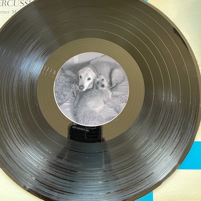 Custom Center Label With Photo for 12 Inch Vinyl Record, Bold Text ...