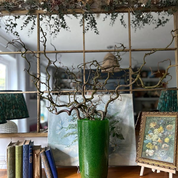 Real Decorative Dried Corylus Branches Wabi Sabi Twigs for Vase ...