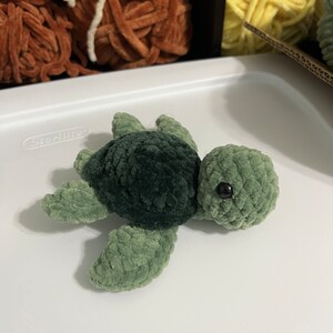 No Sew Sea Turtle Amigurumi Crochet - Etsy
