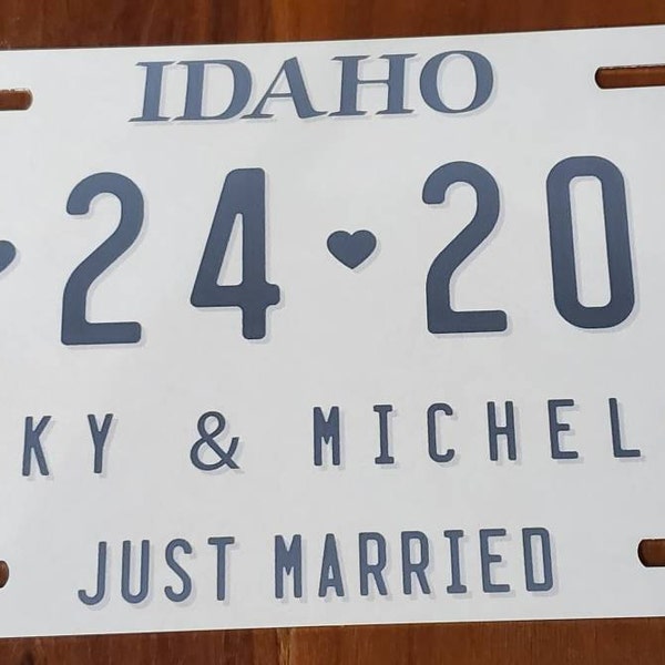 Wedding License Plate Just Married Mr and Mrs Wedding Car License Plate ...
